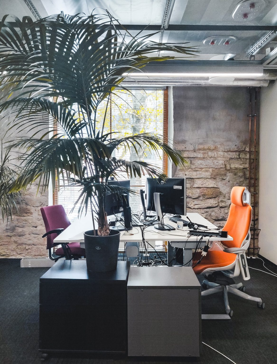 Career - Helmes - Software Development Company